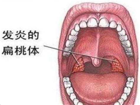课程中心 名医讲堂