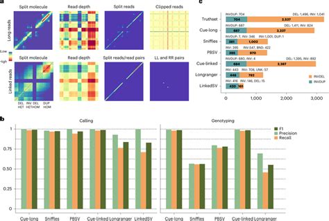 Extending Cue To Long And Linked Read Sequencing Platforms A Image