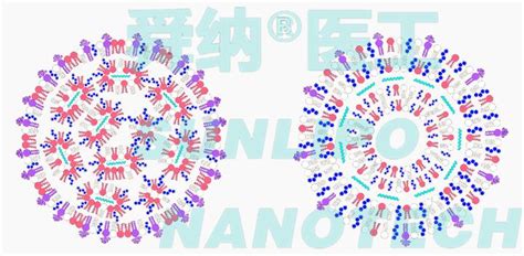Mrna核酸脂质载体的递送机制（lnp电荷性质与分布） 知乎