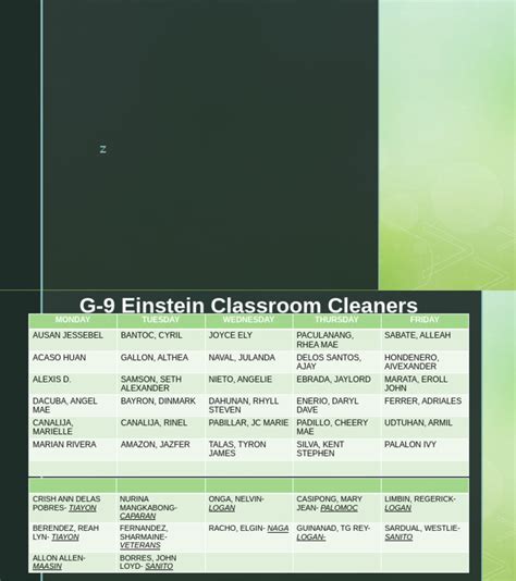 Classroom Cleaners Pdf