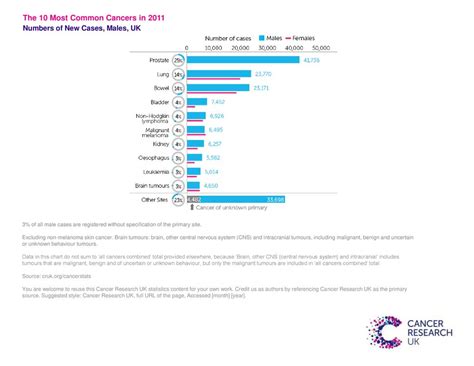 The 10 Most Common Cancers In Ppt Download
