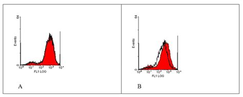 Expression Of MHC Class I Molecules On DCs Loaded With SLA A The First Download Scientific