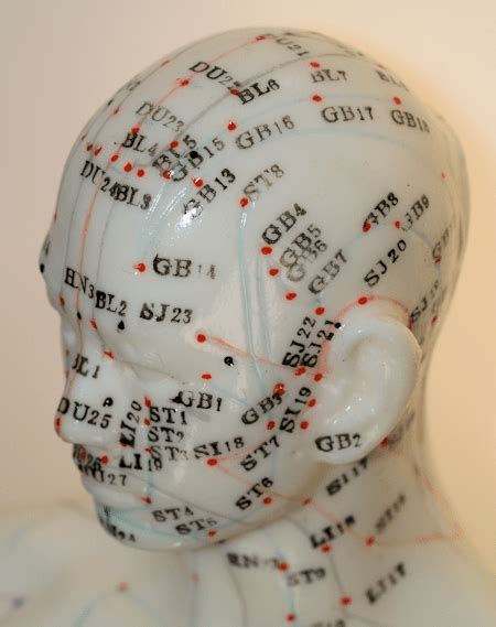 Head Acupuncture Points