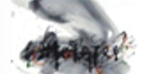 Sparse Decorrelated Odor Coding In The Oxford Martin School