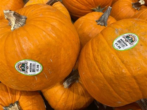 Inflation Affecting 2022 Pumpkin Prices In Sarasota Sarasota Fl Patch