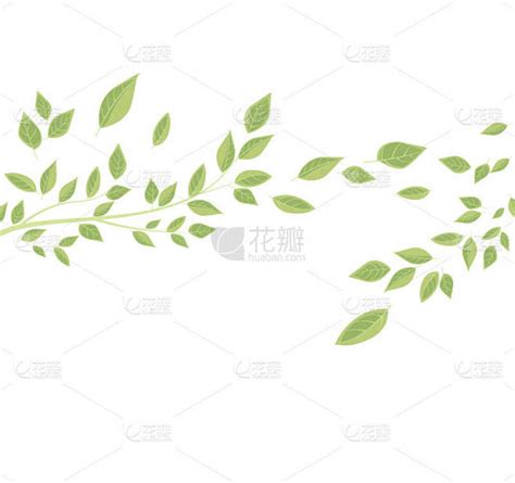 分枝和绿叶