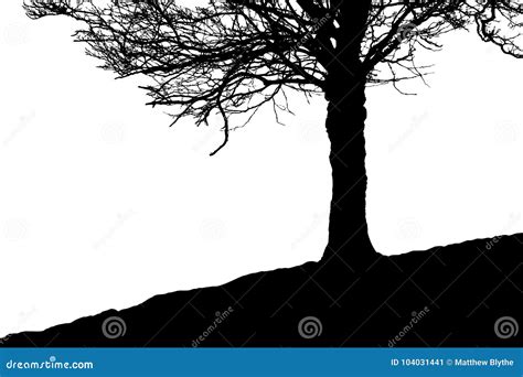 Winter Tree Silhouette Scalable Shape Vector Stock Vector