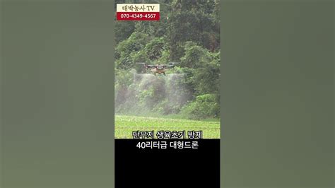 농업용드론 5만평 밭작물 방제 2시간만에 끝나네요 원예작물은 대형드론이 필수입니다 방제드론 농업용드론 드론방제 방제입문 드론추천 드론선택 드론초보