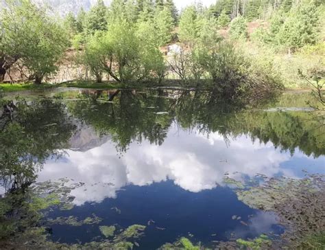 Harsil Valley Tour Package Itinerary Trip Cost And All
