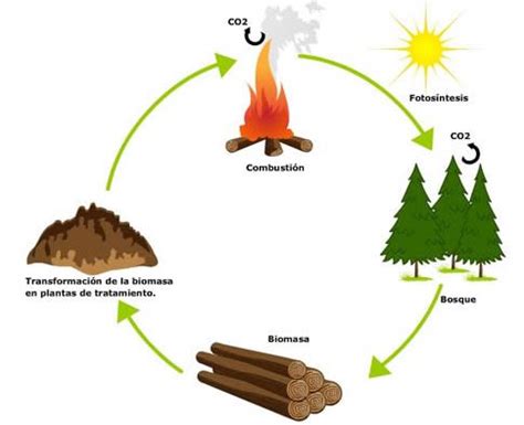 Arquitectura Moderna y Construcción MDB Articulo Cientifico sobre la Biomasa como fuente de Energia