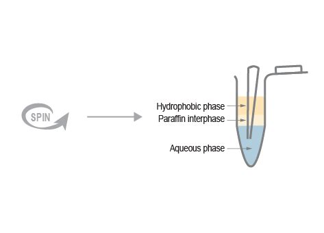 Efficient FFPE RNA Extraction With Lexogen SPLIT 1 Step Kit