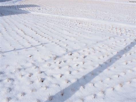 前橋市・高崎市の「雪事情」とは？【平地の雪は基本的に少ない】 奈良まちあるき風景紀行