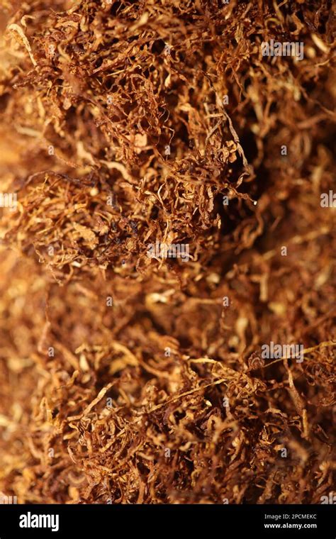 Tabac à rouler gros plan grande taille haute qualité photos de stock fumer des cigarettes et des