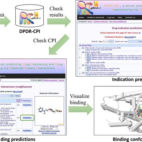 Workflow Of The Server The User Can Submit A Molecule In The Format Of Download Scientific