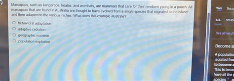 Solved Marsupials Such As Kangaroos Koalas And Wombats Are Mammals
