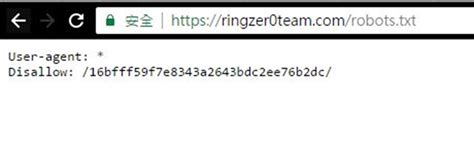 RingZer0 CTF Writeup Big Brother Is Watching Md At Master