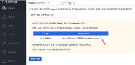 zoho企业邮箱教程：注册账号、绑定域名、设置解析记录 loyseo