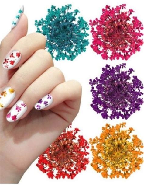 Genese3 15 Flores Secas Para Decoração E Unha Encapsulada 12 Unidades