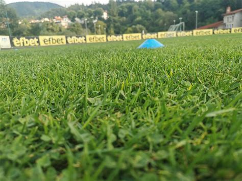 „Родопа“ играе в сряда с „Вихър 1965“ в мач за Аматьорската купа ФК Родопа Смолян