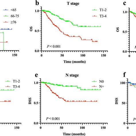 Kaplanmeier Curves Of Os Stratified By Treatment Modalities Before And