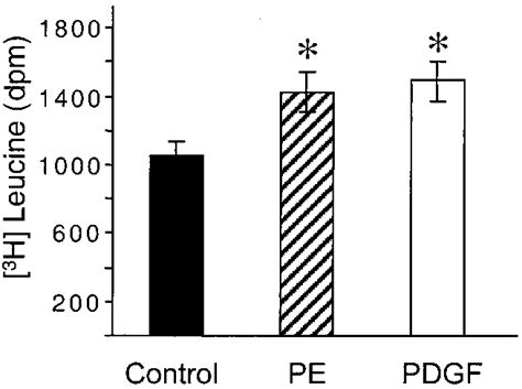Activation Of Protein Synthesis By Pe Serum Starved Cells Were Treated