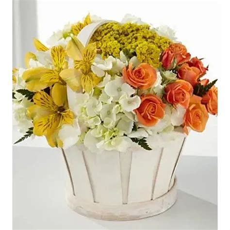 Flower Essence The Best Easton Pa Florist
