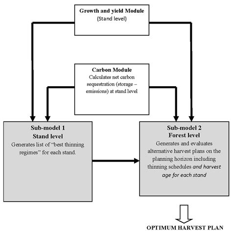 Heuristic Forest Planning Model For Optimizing Timber Production And Carbon Sequestration In