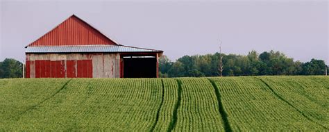 Farm Princeton Tory