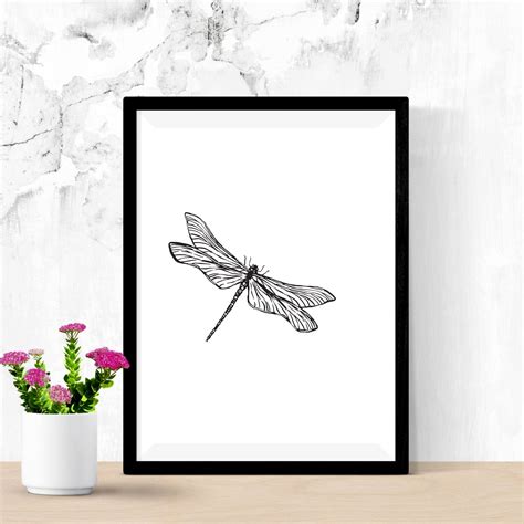 Dragonfly Svg Bundle Insect Svg Dragonfly Vector Dragonflies Wings Cut
