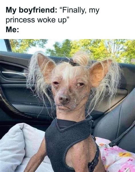 40 Relationship Memes For Anyone Craving Romance Demilked