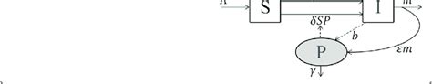 Conceptual Diagram Of Sisp Model Illustration Of Interaction Between