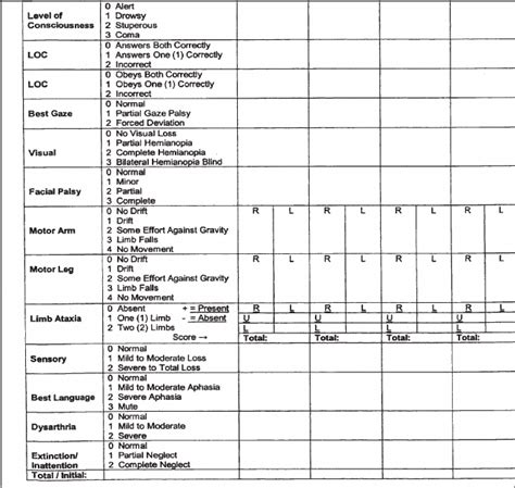 3 The Nih Stroke Scale Download Scientific Diagram
