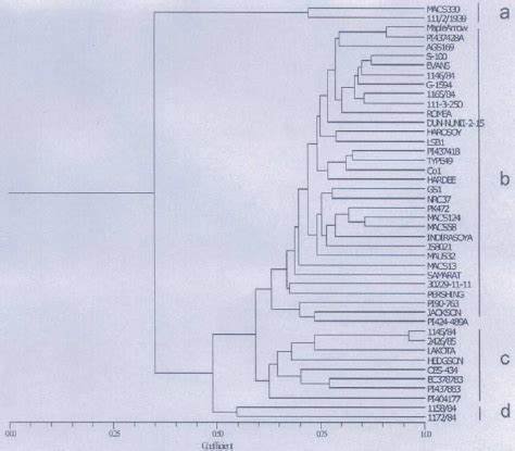 Dendrogram Of Different Genotypes Of Soybean Constructed Using UPGMA