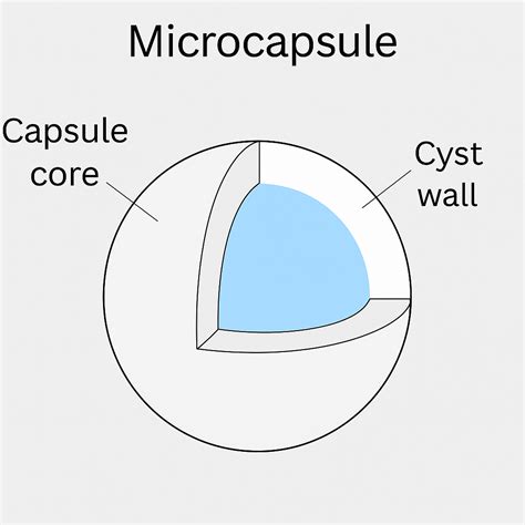 Microcapsule Technology In Laundry Controlled Release Sustainable