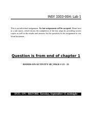 INSY 3303 004 Lab 1 Docx INSY 3303 004 Lab 1 This Is An Individual