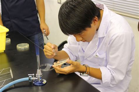 日本大学 生物資源科学部 食品生命学科 ニュース 食品衛生学・微生物学実験 ～前半～