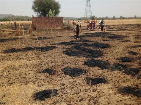In Chitrakoot Six Bighas Of Crops Of Farmers Were Burnt To Ashes