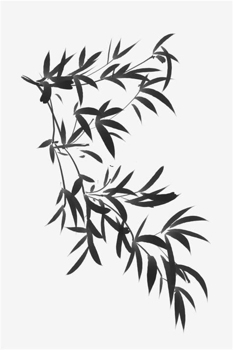 黑白竹子 黑白古風 黑白水墨 水墨竹子 手繪卡通竹子 黑白竹子 植物綠葉素材圖案，psd和png圖片免費下載 壁紙 竹 画