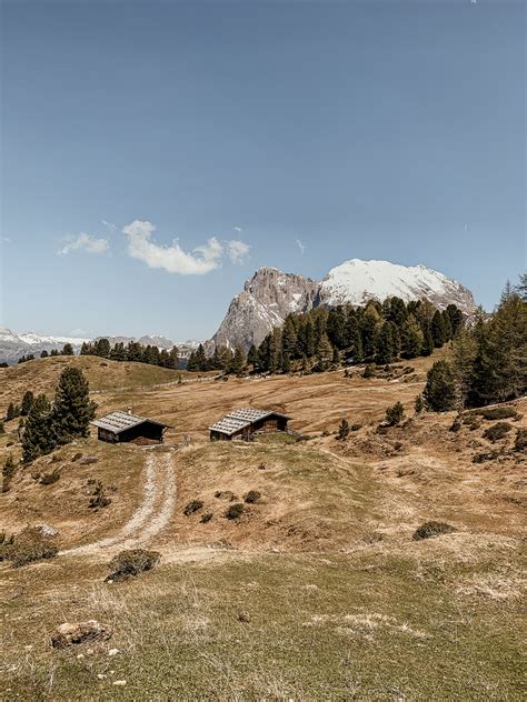 Seiser Alm Bergurlaub Im Zallinger Individualicious