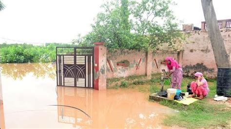 Punjab 2 Breaches Flood Dozen Villages In Jalandhar Search On For