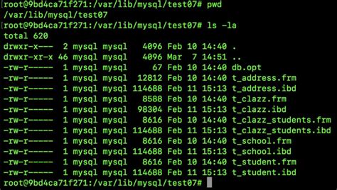 Mysql Mysql