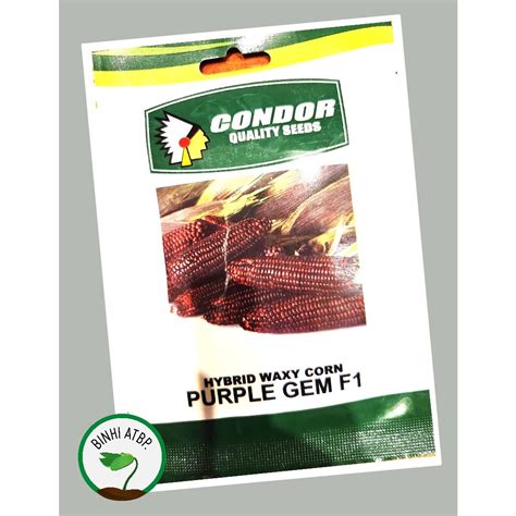 Condor Hybrid Purple Sweet Corn Purple Gem F1 Seeds 10 Gr Pack