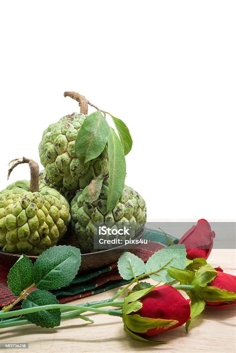 설탕 사과나무 커스터드사과나무 아노나 Sweetsop 0명에 대한 스톡 사진 및 기타 이미지 0명 2015년 과일 Istock
