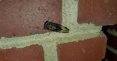 On My Porch Imgur
