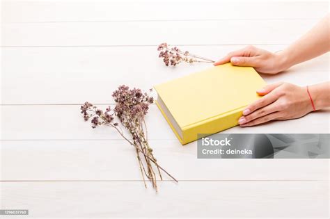닫힌 노란색 책을 들고 있는 여성의 손 흰색 페이지와 함께 책을 열었습니다 텍스트 및 로고를 위한 빈 공간입니다 친환경 심플한
