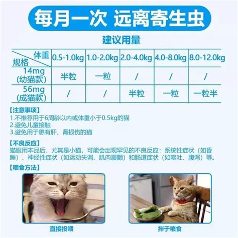 海乐妙猫成猫驱虫药宠物去耳螨猫咪体内外打虫除体内体外一体虎窝淘