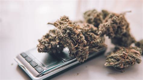 How Many Ounces In A Pound Weed And Cannabis Flavor Fix
