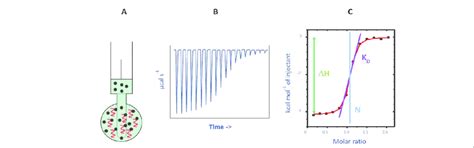 How Itc Works A Schematic Of Itc Cells And Injection Syringe B