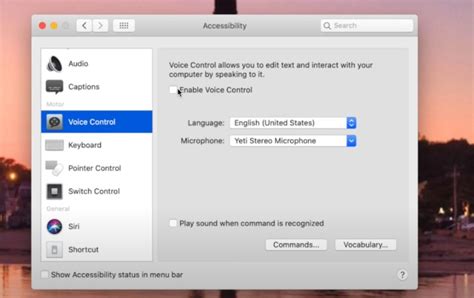 The Top Apple Speech Recognition Software For 2026