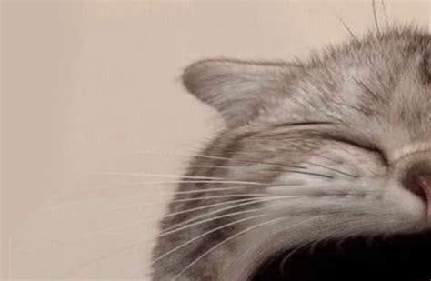 ปป⋆ 🐠꙳⑅ ˚ On Twitter งั่มงั่ม ᷇࿀ ᷆ ♡